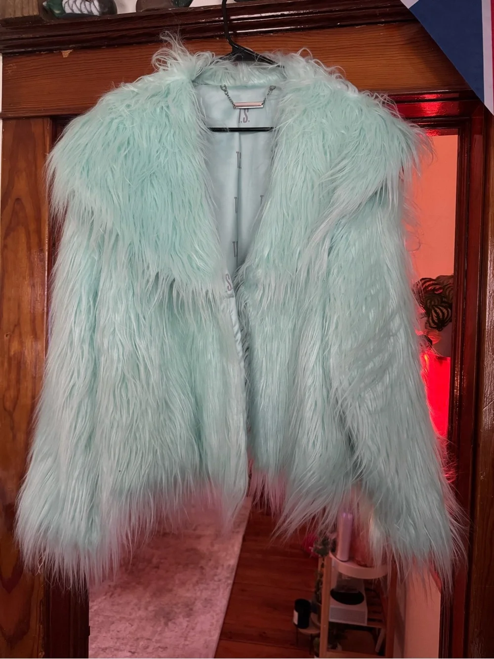 Taylor Swift | Jackets & Coats | Taylor Swift Faux Fur Mint Green ...